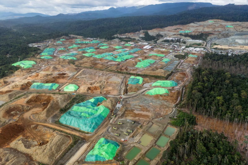 Minerais de déforestation : la voix des peuples autochtones menacés ...